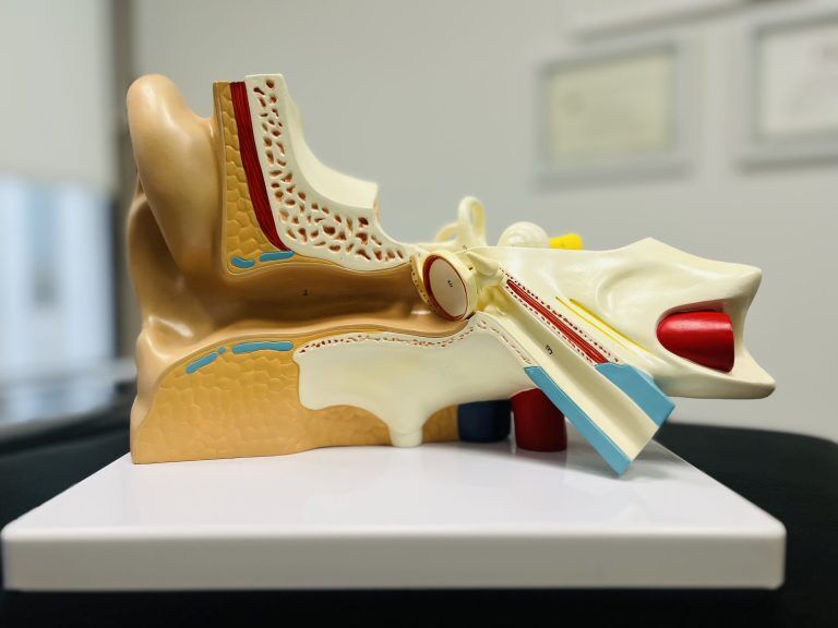 Eustachian Tube Dysfunction (ETD) - The Health League